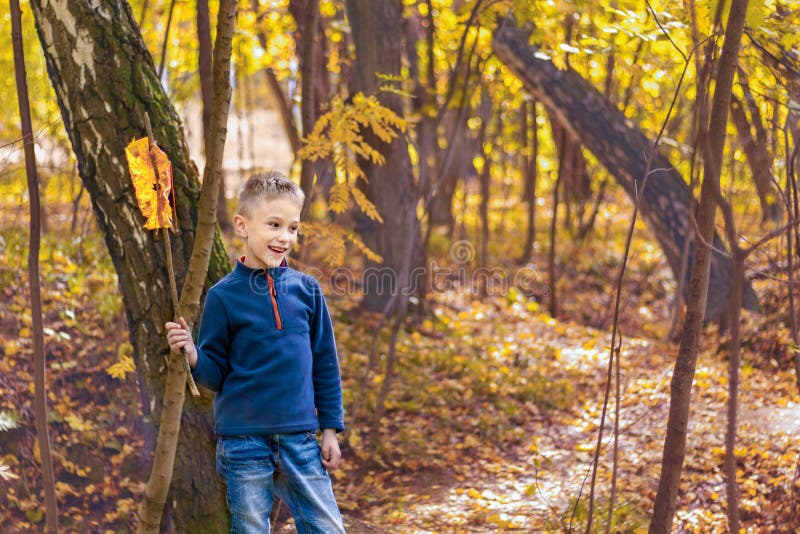 Lively Boy in Fall Woods Playing by Making Flag from Stick and Leaf ...