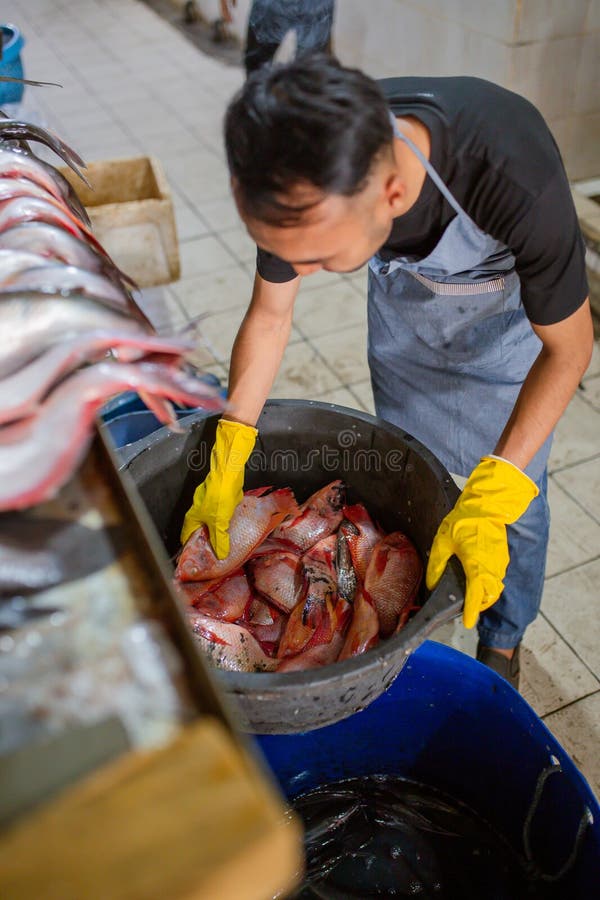 Fish Processing in Market a Worker Skillfully Handling Fresh Catch ...