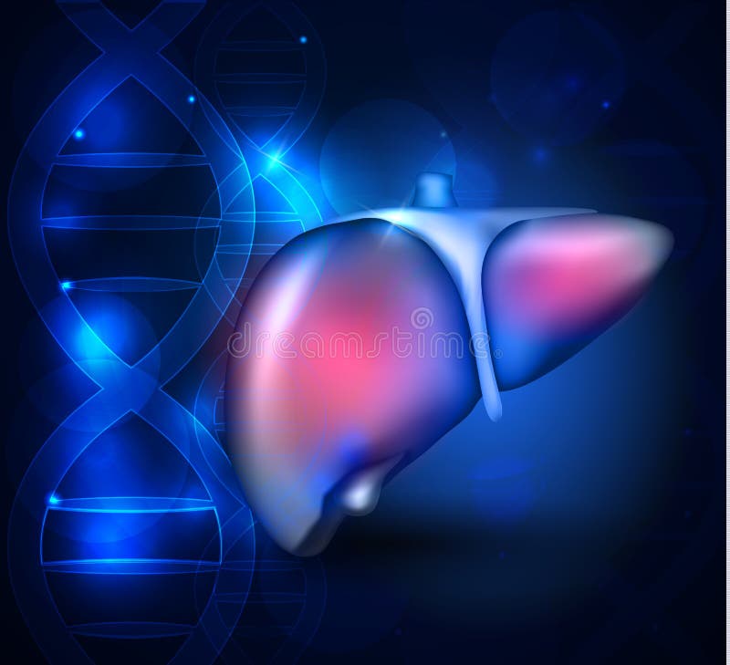 Background Liver Stock Illustrations – 15,939 Background Liver Stock ...