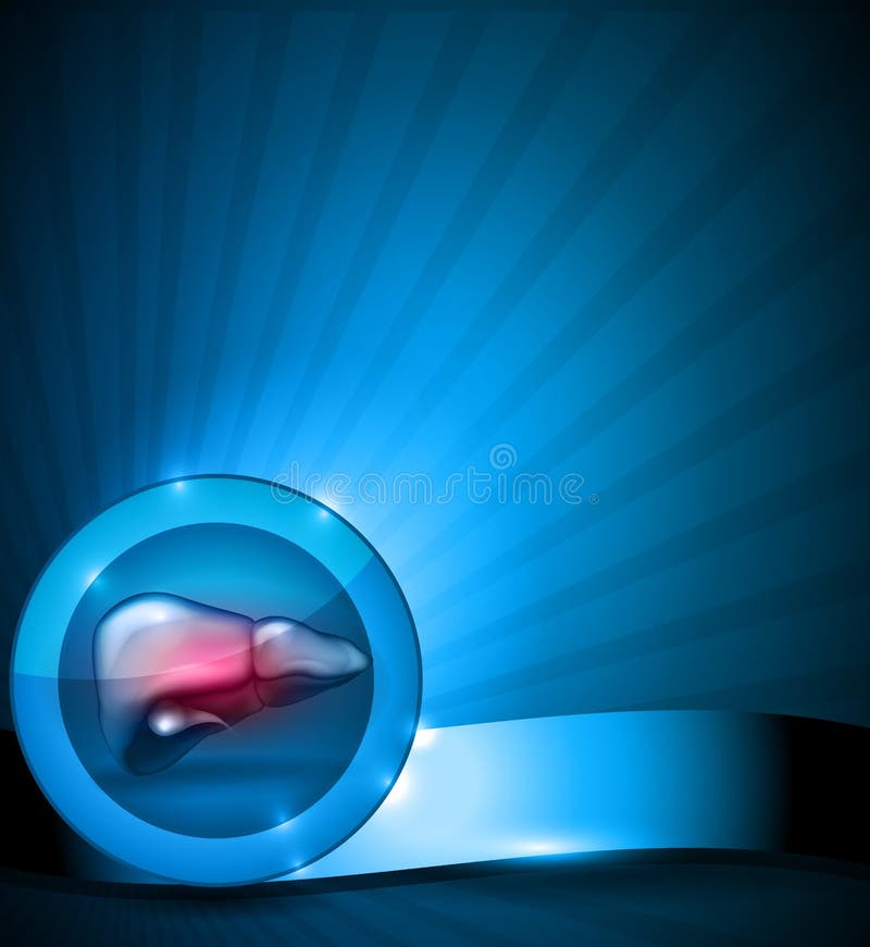 Liver anatomy stock illustration. Illustration of education - 69714176