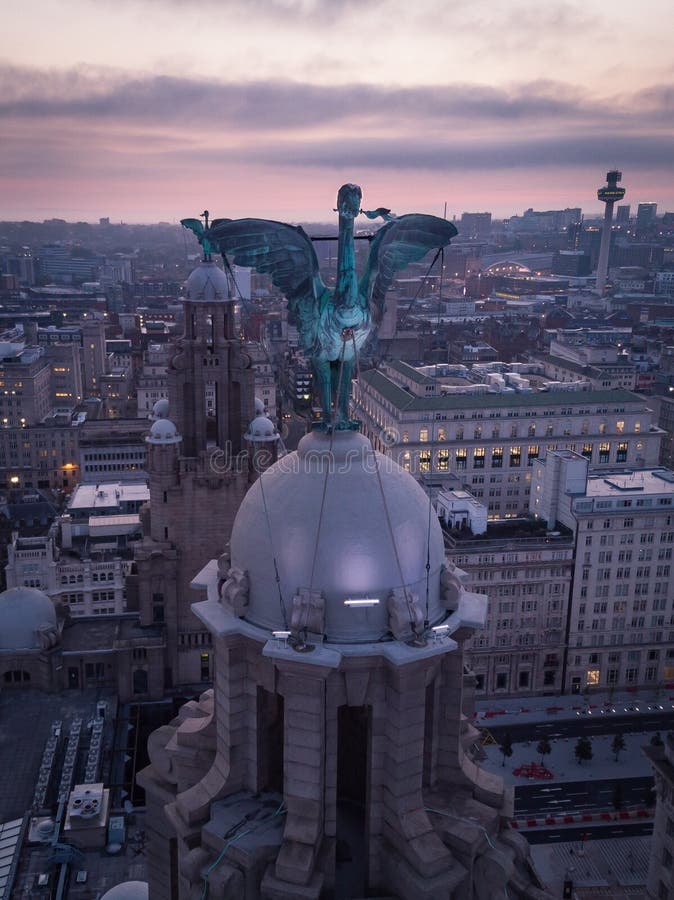 Liver Bird Illuminated in the Sunrise Stock Image - Image of panorama ...