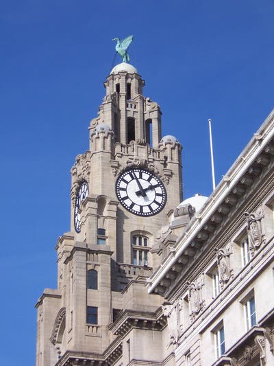 Liver building stock photo. Image of mythology, dome, bird - 2742794