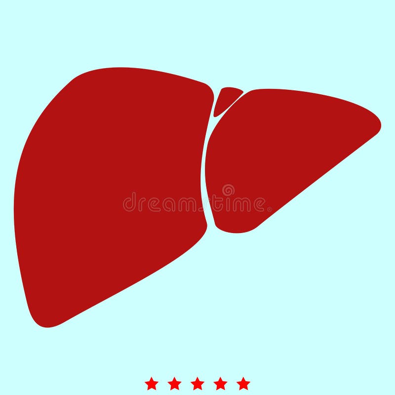 Liver it is color icon . stock vector. Illustration of liver - 97975106