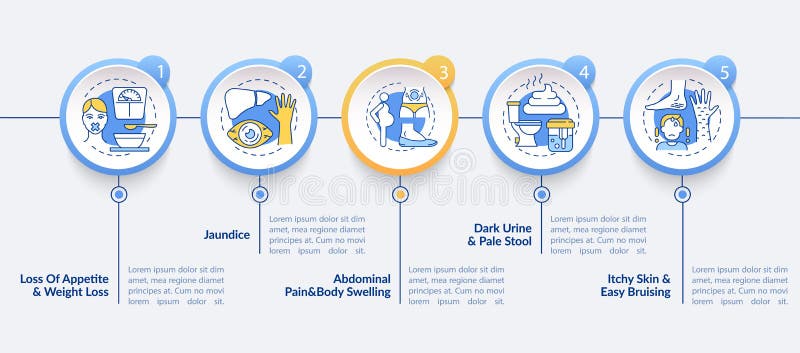 Liver Disease Signs Vector Infographic Template Stock Vector ...