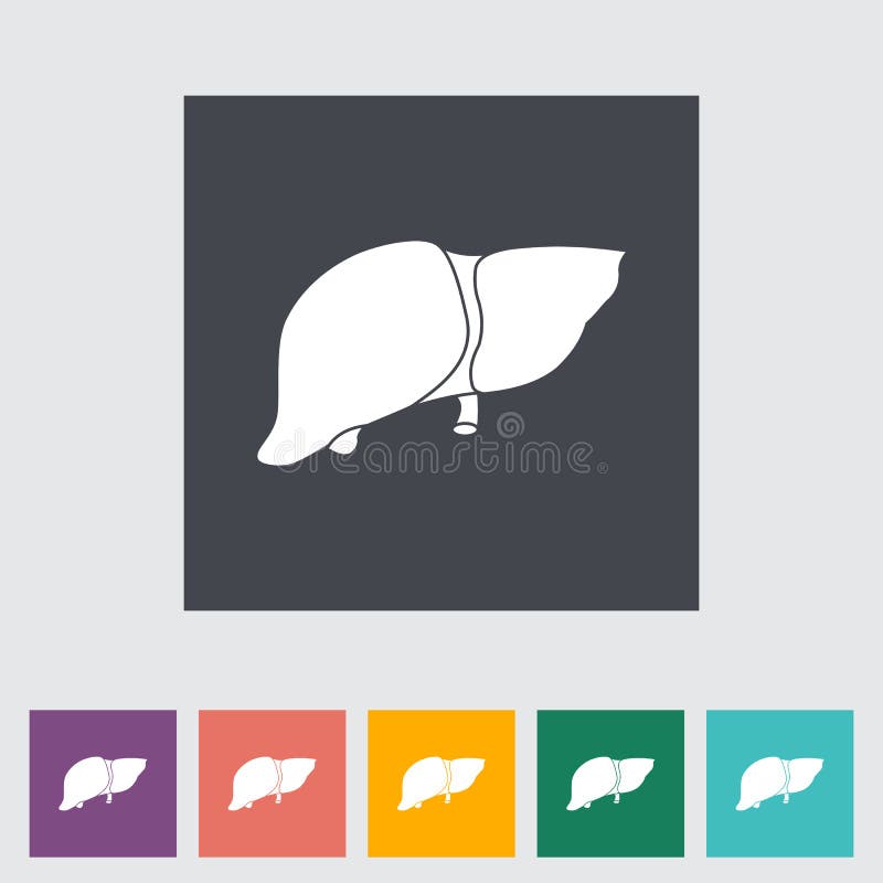 Liver flat icon. stock vector. Illustration of spleen - 34654601