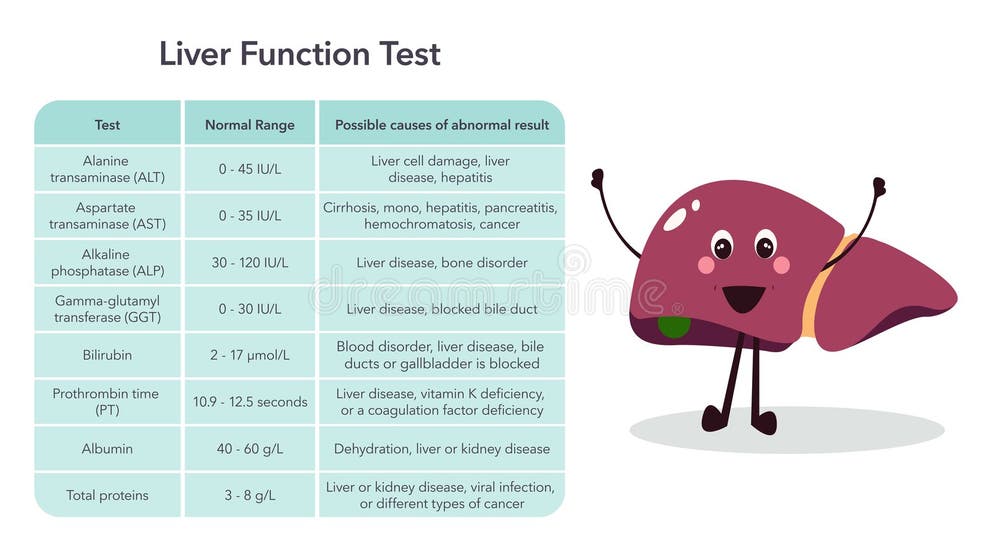 Liver Function Liver Enzymes Blood Test Medical Vector Illustration ...