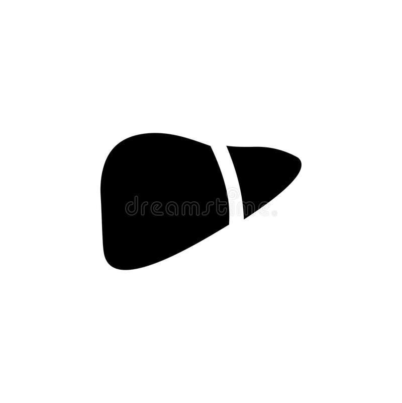 Liver, Human Organ, Blood Filter Solid Flat Vector Icon Isolated on ...