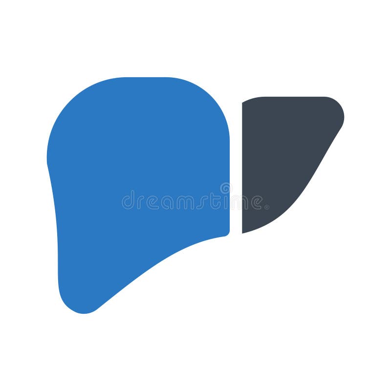 Liver Glyph Color Flat Icon Stock Illustration - Illustration of ...