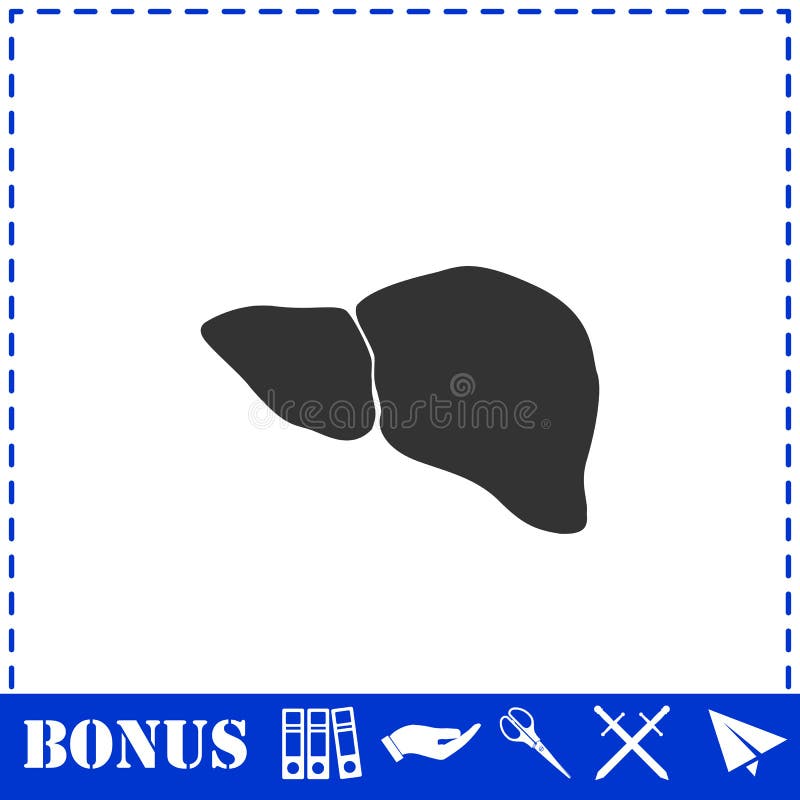 Liver icon flat stock vector. Illustration of biology - 155257082
