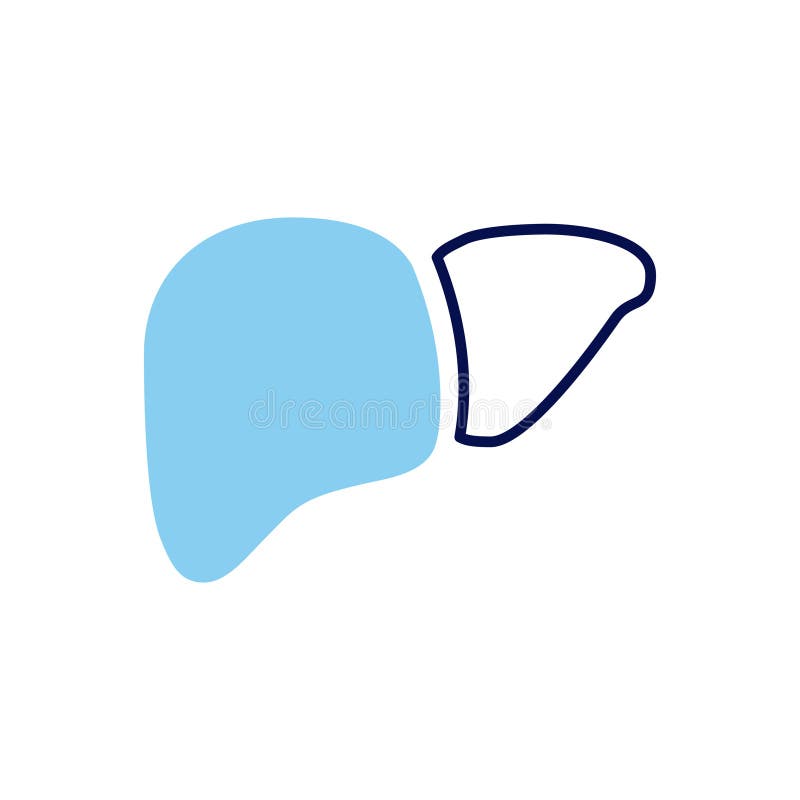 Liver icon. stock vector. Illustration of liver, clip - 287015981