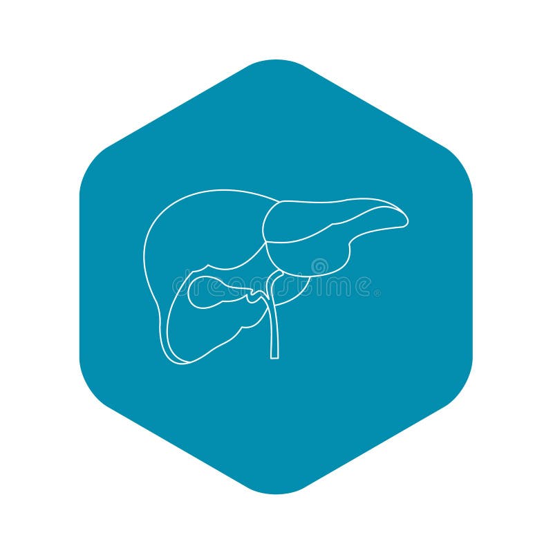 Liver icon, outline style stock vector. Illustration of hormone - 141741842
