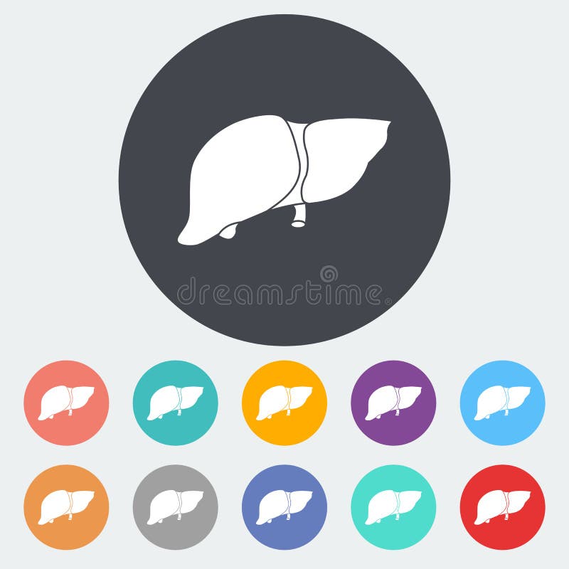 Liver flat icon. stock vector. Illustration of spleen - 34654601