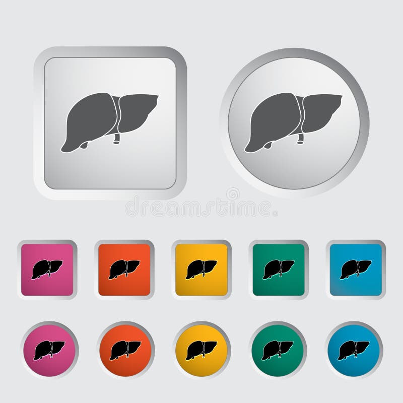 Human Liver Icon Vector.Human Internal Organ Stock Vector ...