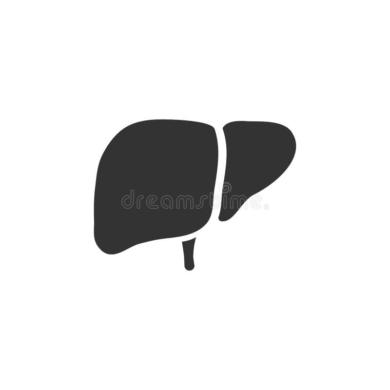 Liver icon. stock illustration. Illustration of liver - 287015981