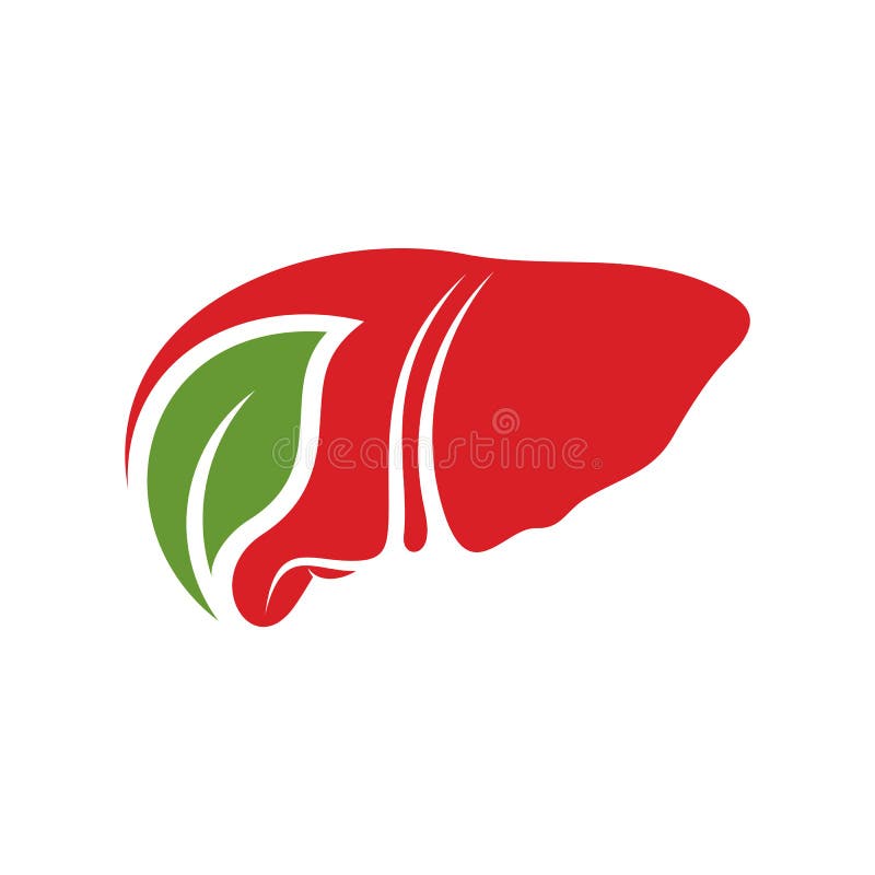 Liver with Leaf Logo Vector Template, Creative Liver Logo Design ...