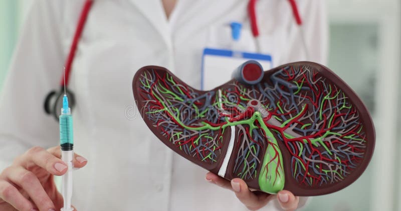 Liver Model with Injection Syringe Stock Footage - Video of blood ...