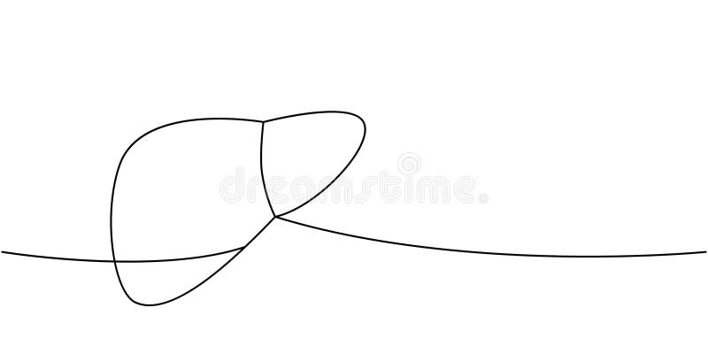 Liver One Line Continuous Drawing. Human Internal Organ Continuous One ...