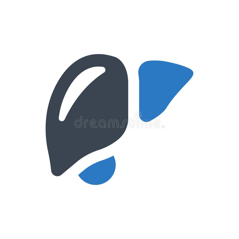 Liver organ icon stock vector. Illustration of liver - 254772111