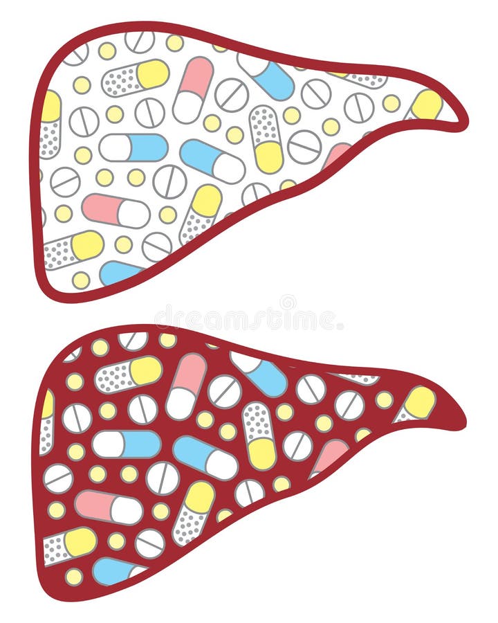 Hepar Stock Illustrations – 239 Hepar Stock Illustrations, Vectors ...