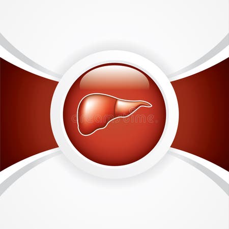 Liver Background Stock Illustrations – 20,546 Liver Background Stock ...