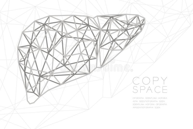 Liver Shape Wireframe Polygon Golden Frame Structure, Medical Science ...