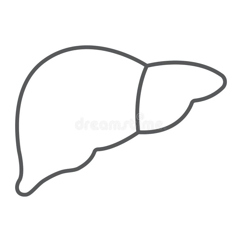 Liver Line Icon, Anatomy and Biology, Hepatology Stock Vector ...