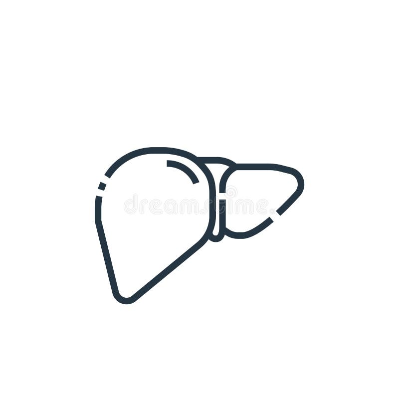 Liver Vector Icon. Liver Editable Stroke. Liver Linear Symbol for Use ...