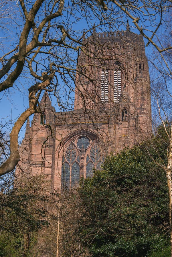 Liverpool Cathedral Framed by Leafless Trees Under a Blue Sky Stock ...