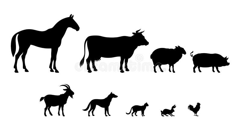 Livestock stock vector. Illustration of bunny, shape - 28566919