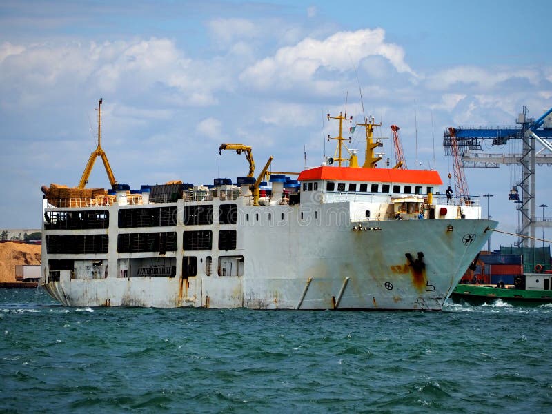Livestock Carrier Underway To Sea Stock Image - Image of coaster ...