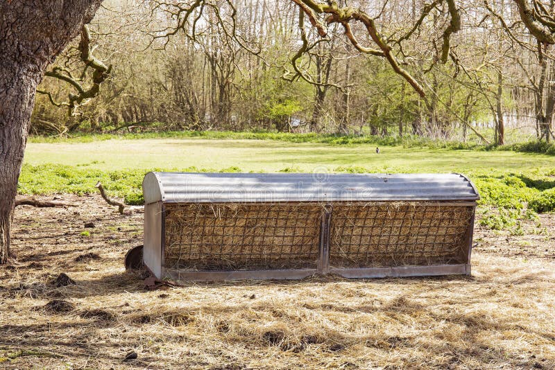 Livestock Hay Feeding Trough Under a Beautiful Oak Tree during the Day ...