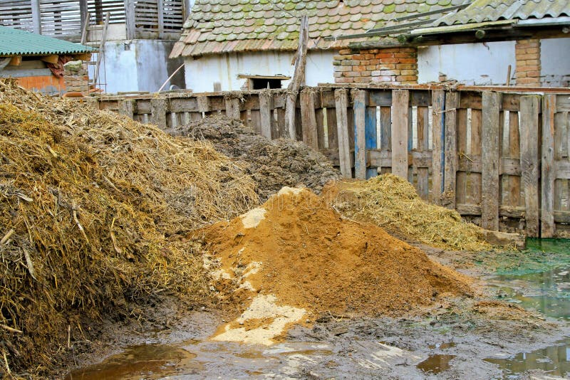 Livestock manure stock photo. Image of stinky, manure - 19604628