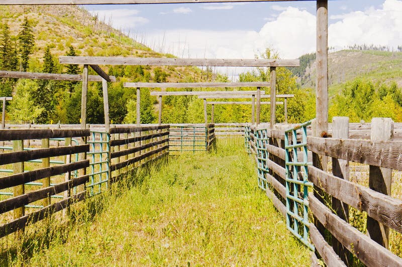 Livestock Paddocks for Arranging Livestock Stock Photo - Image of ...