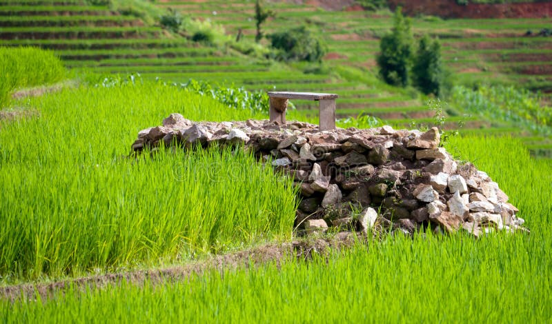 Living corner stock photo. Image of decorative, environment - 194663212