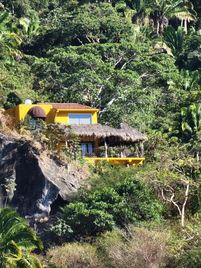 Living on the Edge of the Jungle. Stock Image - Image of plant, jungle ...