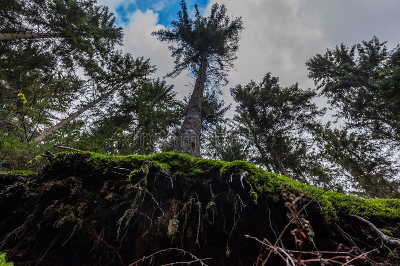 Living on the edge stock photo. Image of competition - 297174246