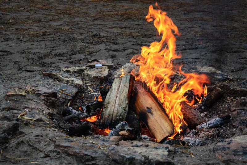 Living flame fire stock image. Image of wild, bright - 84681029