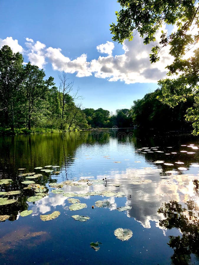 Living mirror stock image. Image of clouds, river, mirror - 155609709