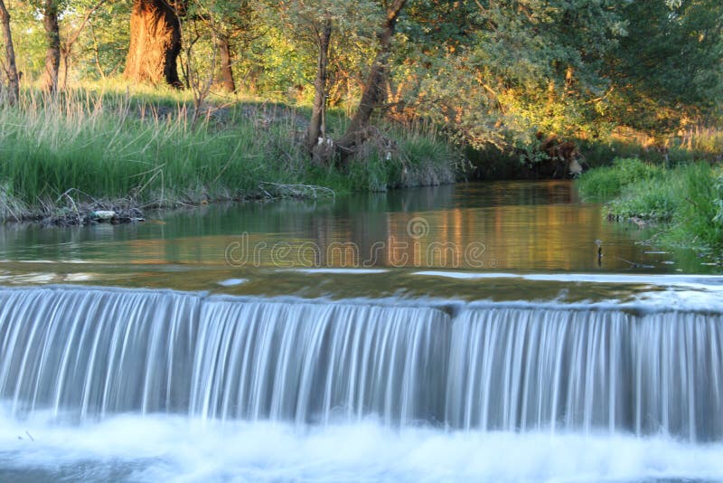 Living Nature in the Spring Time. Stock Image - Image of woodland ...