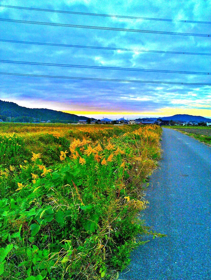 Living road works stock photo. Image of works, living - 267712490