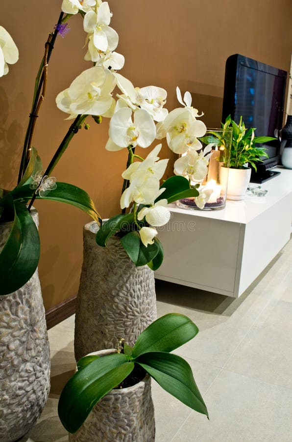 Living Room Corner Decorated Stock Image - Image of design, detail ...