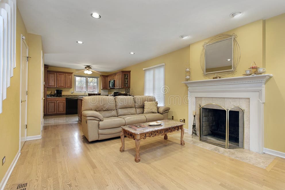 Living room with fireplace stock image. Image of furniture - 13320841