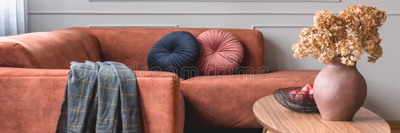 Living Room Interior with Ginger Sofa Stock Image - Image of grey ...