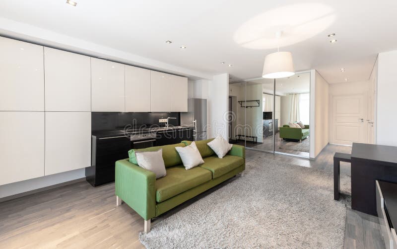 Living Room with Kitchen and Empty Space. Home Interior Stock Image ...