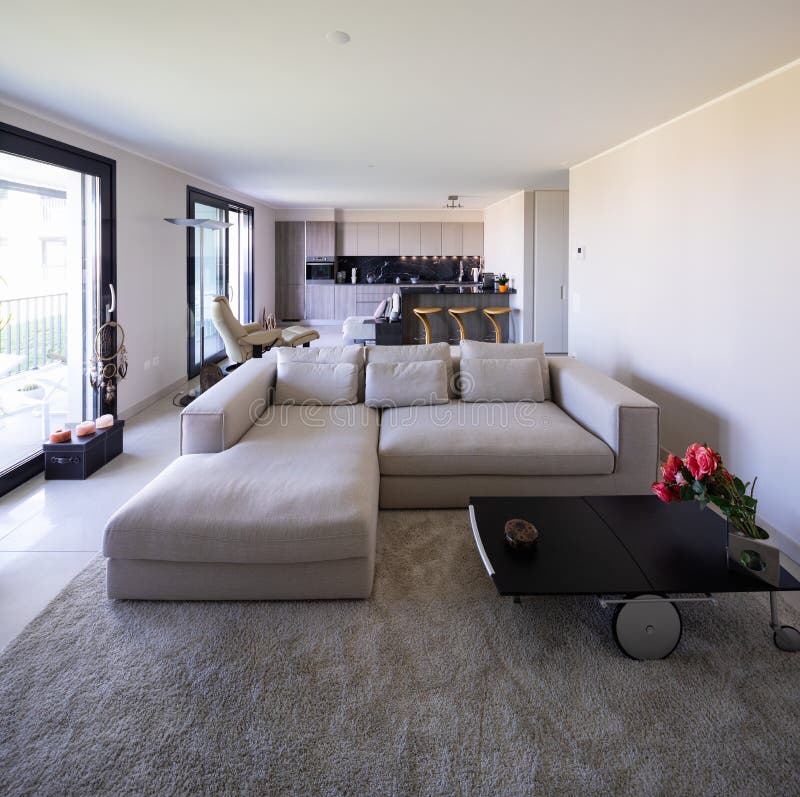 Living Room and Kitchen in Open Space, Modern Apartment Stock Image ...