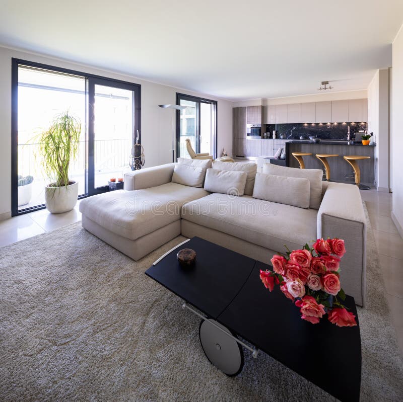 Living Room and Kitchen in Open Space, Modern Apartment Stock Photo ...