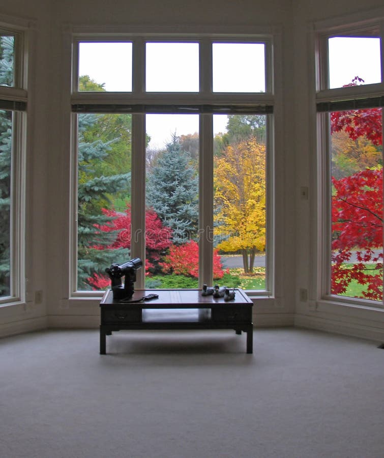 Living Room Scenery stock photo. Image of photograph, trees - 7470112