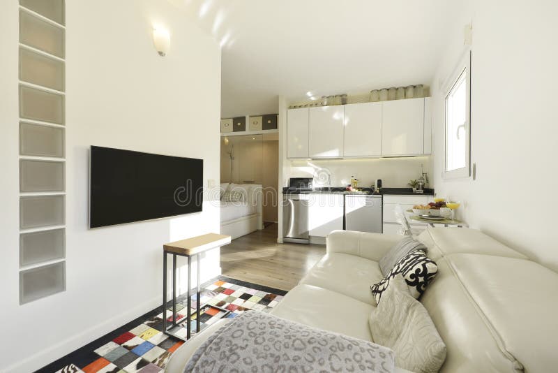 Living Room of a Studio Apartment with White Leather Sofa, Open Kitchen ...
