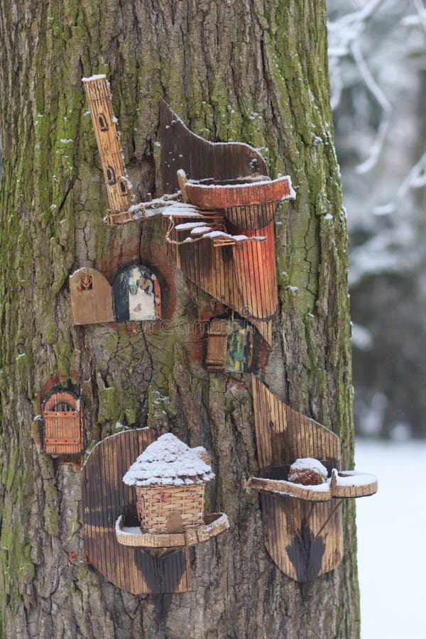 Living in a Tree House Surrounded by Branches Stock Photo - Image of ...