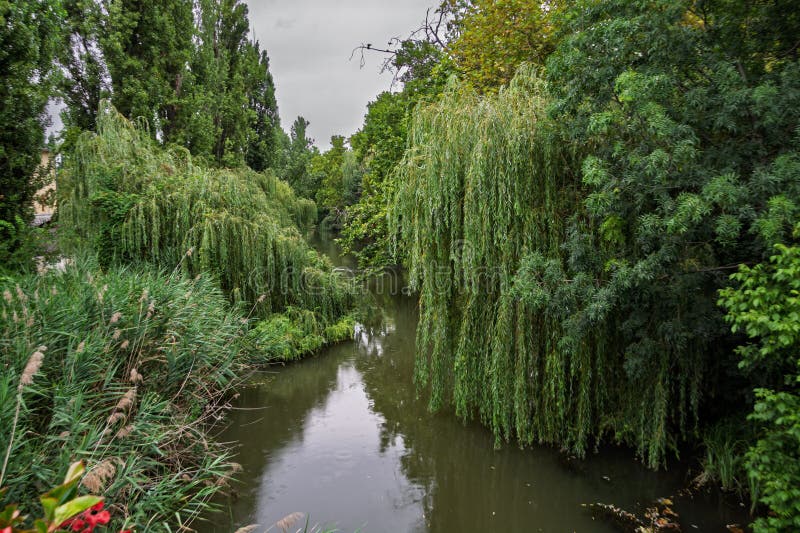 Living Water Channel in Bekescsaba Stock Image - Image of natural ...